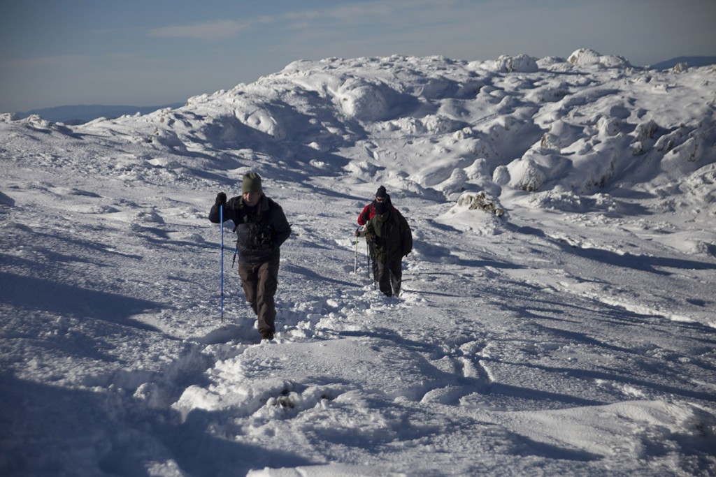 El Parque Nacional Sierra de las Nieves cumple este año su quinto ...